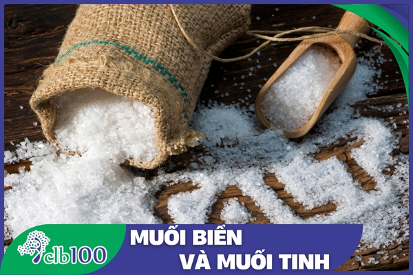 Cộng đồng thực dưỡng hiện đại clb100